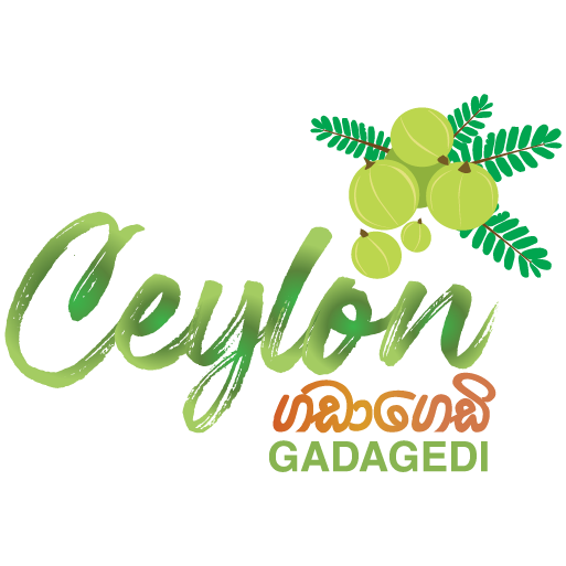 Contact - Ceylon Gadagedi